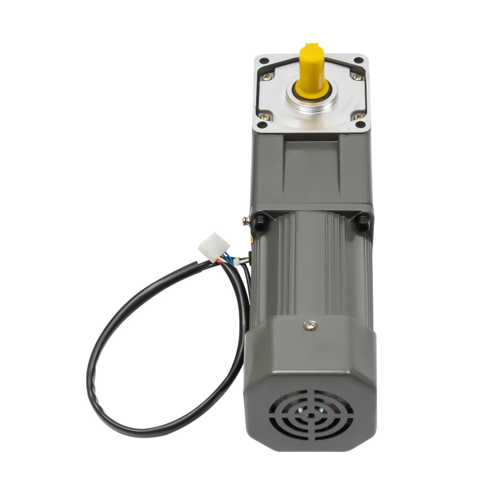 120W 30K 110V Adjustable Variable Gear Reducer Motor AC Gear Motor with ...