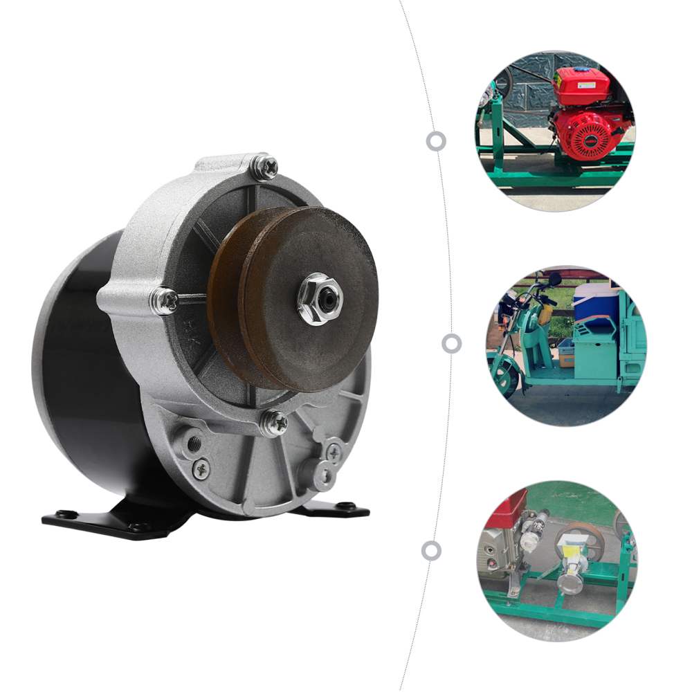 24V 250W Gear Reduction Electric Motor Powerful Electric Motor with ...