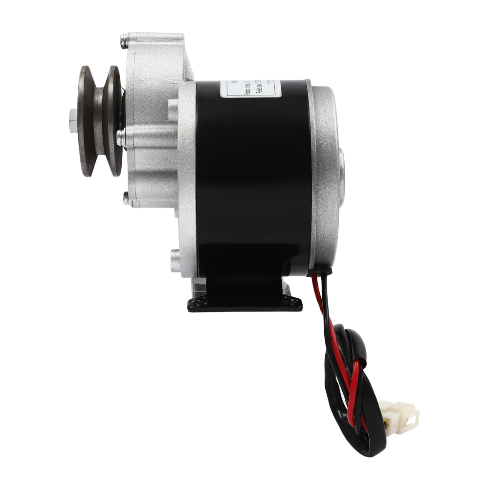 24V 250W Gear Reduction Electric Motor Powerful Electric Motor with ...