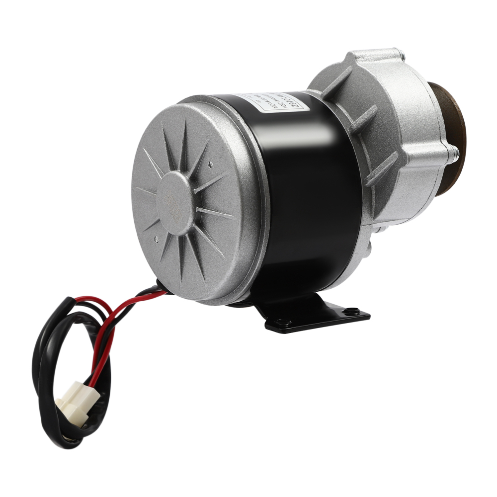 12V 250W Gear Reduction Electric Motor Powerful Electric Motor with ...