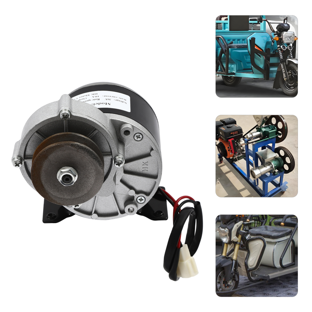 36V 250W Gear Reduction Electric Motor Powerful Electric Motor with ...