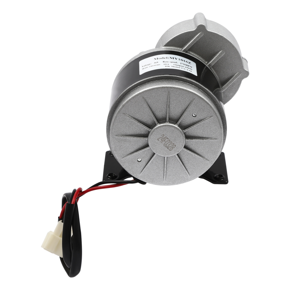 36V 250W Gear Reduction Electric Motor Powerful Electric Motor with ...