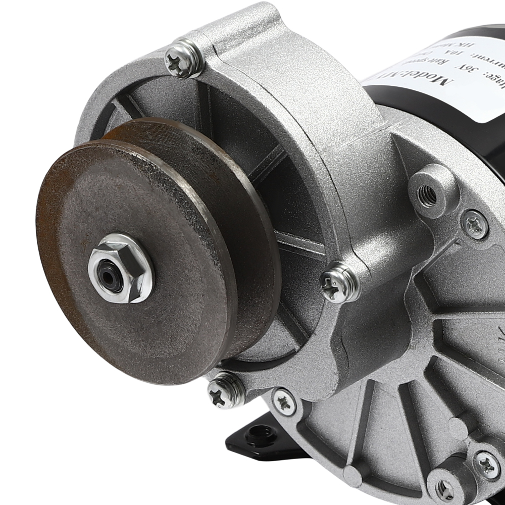 36V 250W Gear Reduction Electric Motor Powerful Electric Motor with ...